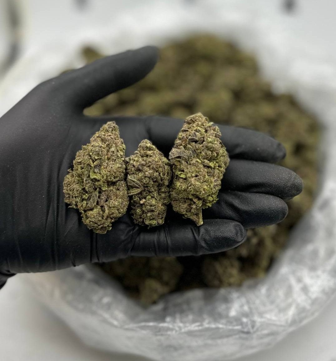 Black Runtz strain - Jettpacks Official